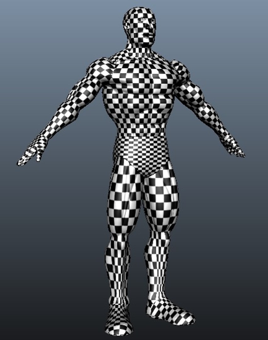 3d Model Of Muscular Man Body Male