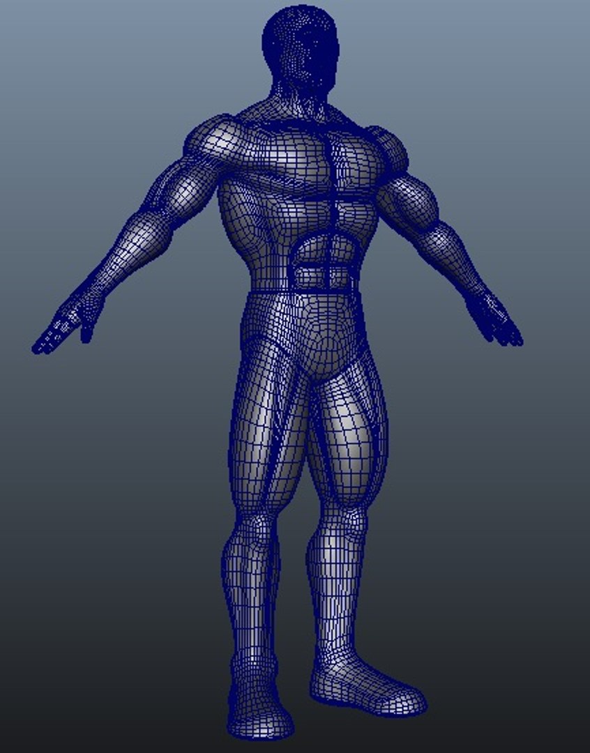 3d Model Of Muscular Man Body Male