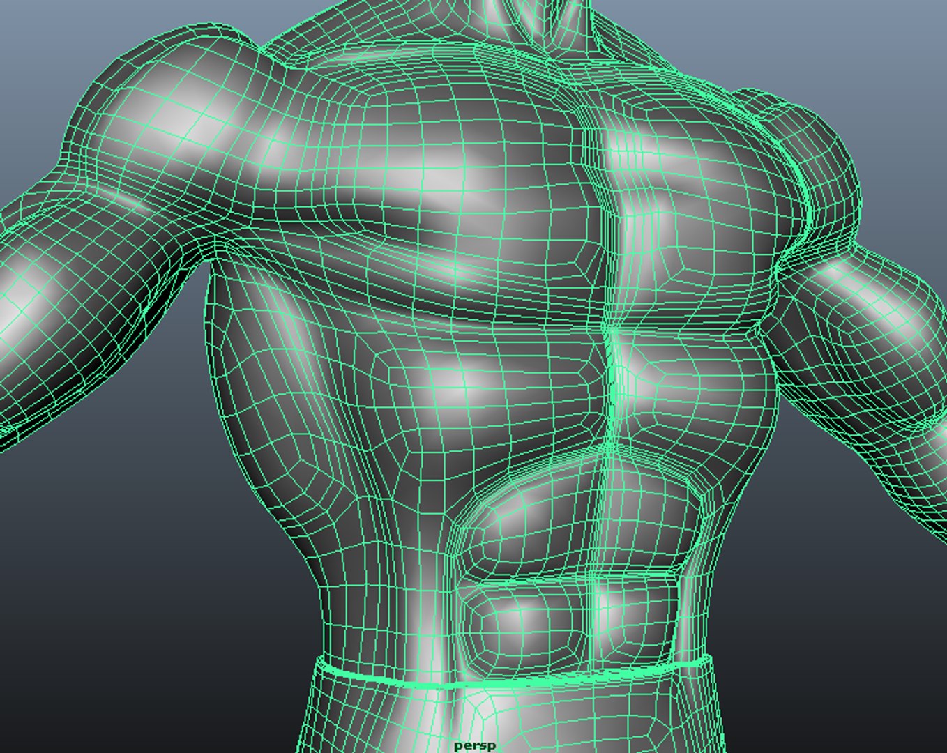 3d Model Of Muscular Man Body Male