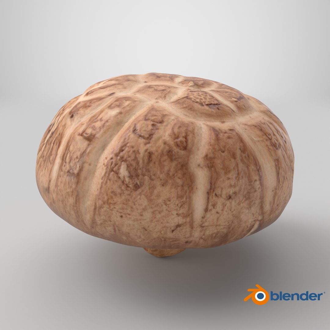3D Model Shiitake Mushroom - Photo Scan - TurboSquid 2516800