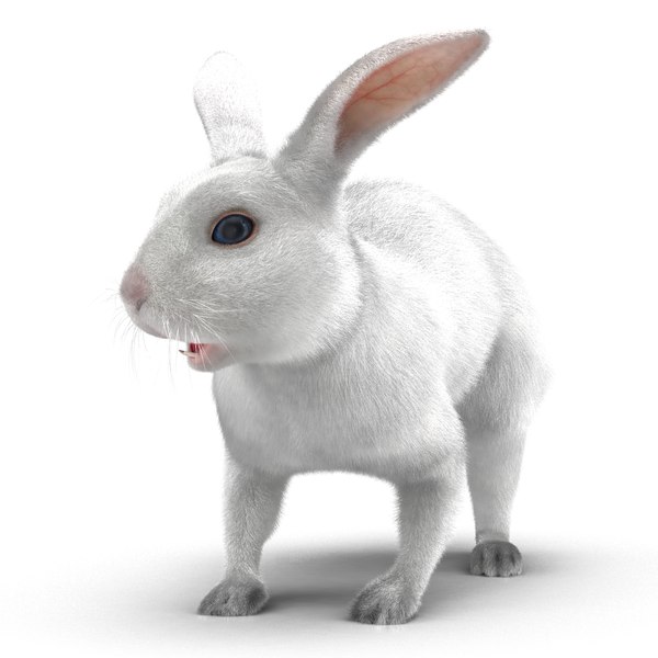 3d white rabbit rigged