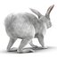 3d White Rabbit Rigged