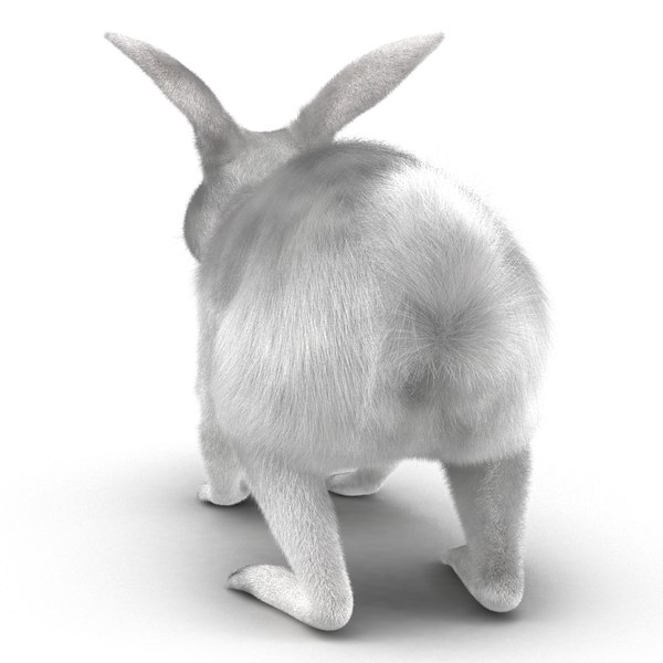 3d white rabbit rigged