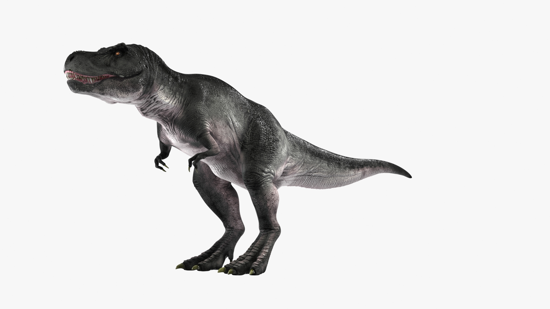 T Rex Eating Animated Rigged For Cinema 4D 3D Model - TurboSquid 2107990
