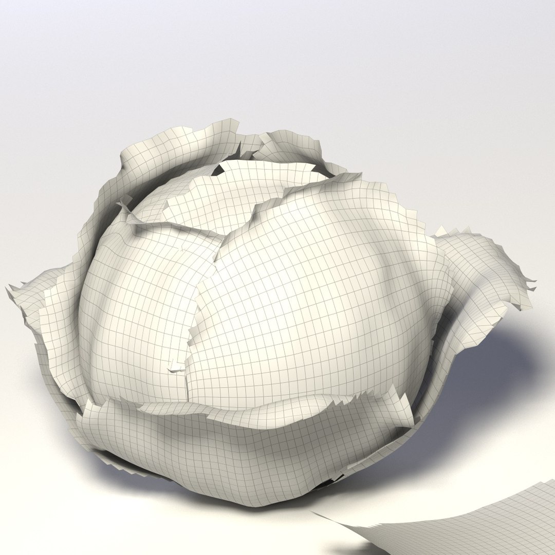 Realistic Cabbage 3d Obj