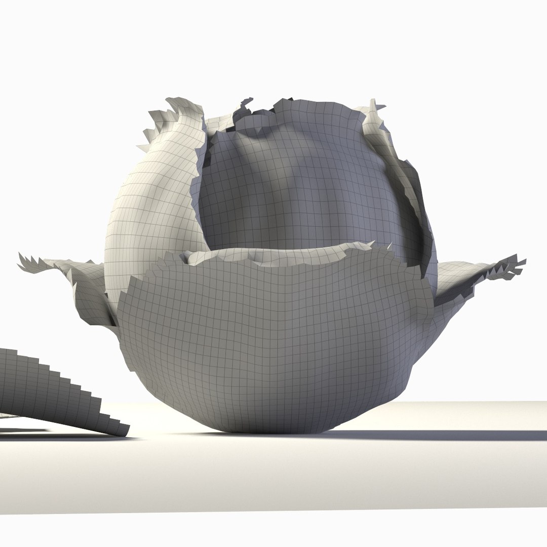 Realistic Cabbage 3d Obj