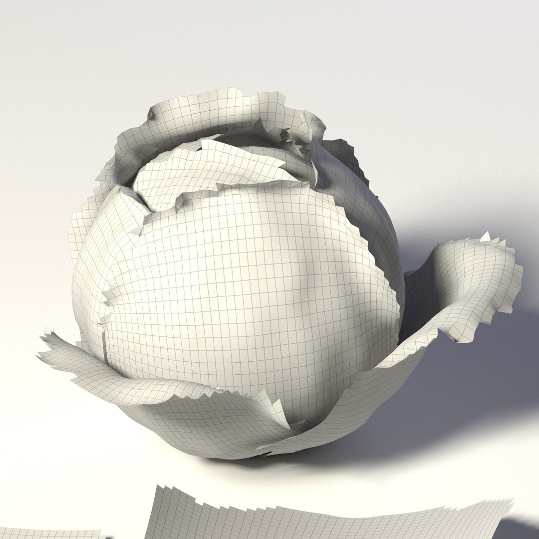 Realistic Cabbage 3d Obj