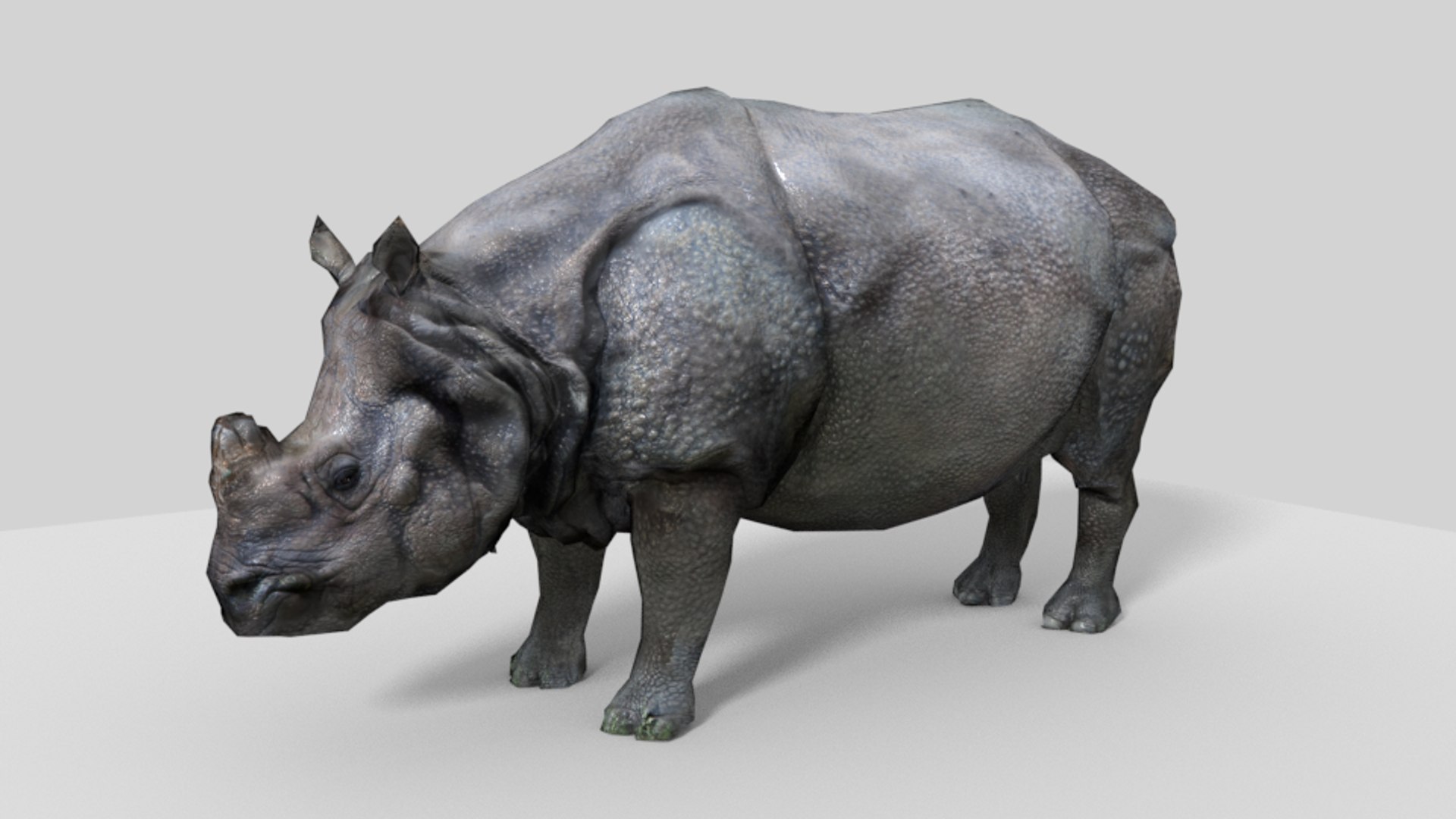 Rhinoceros Rhino Animal 3D Model - TurboSquid 1362748