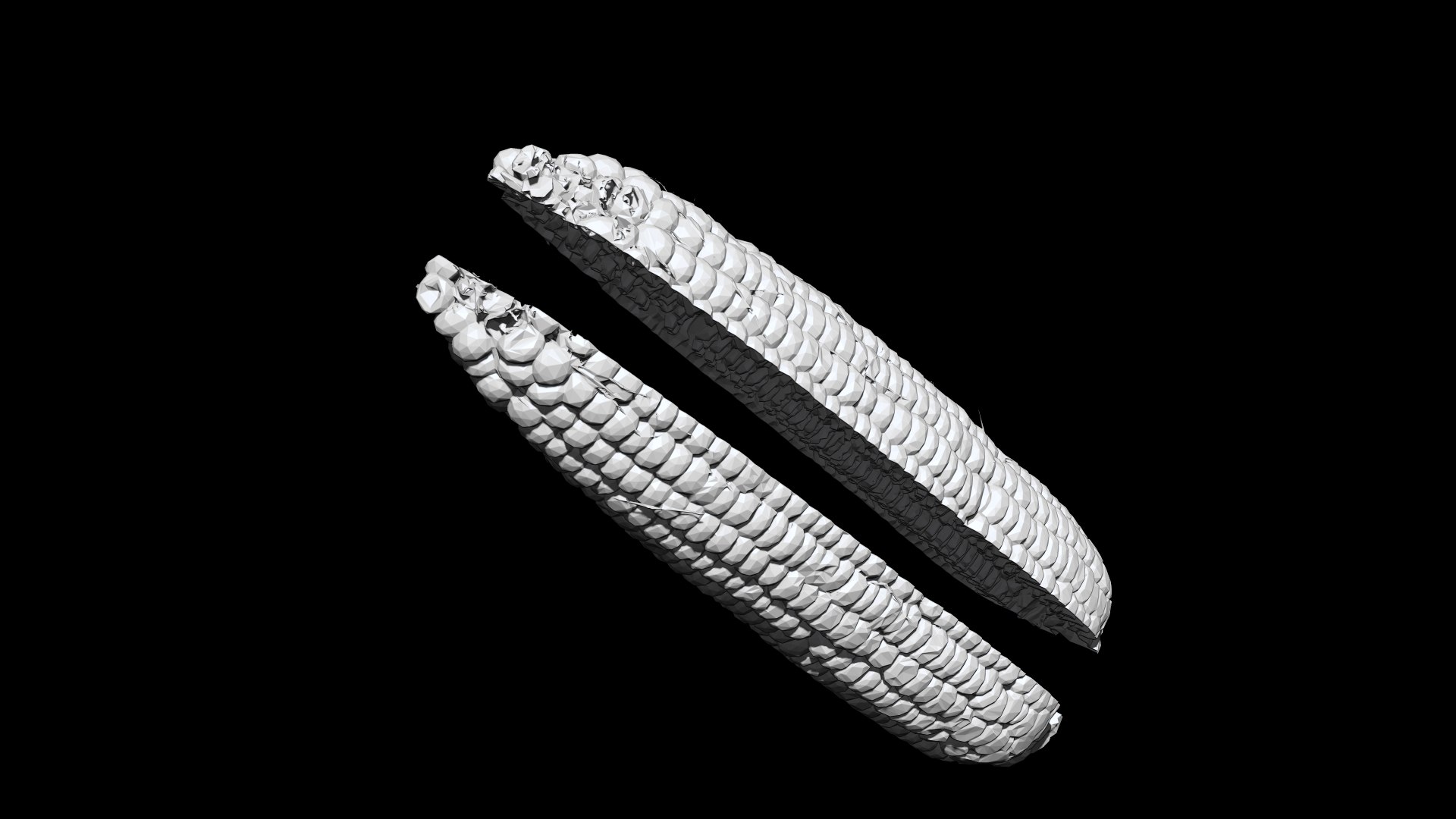 Corn 3D CT Scan Model Cut1 Decimate 5 Percent 3D Model - TurboSquid 1945208