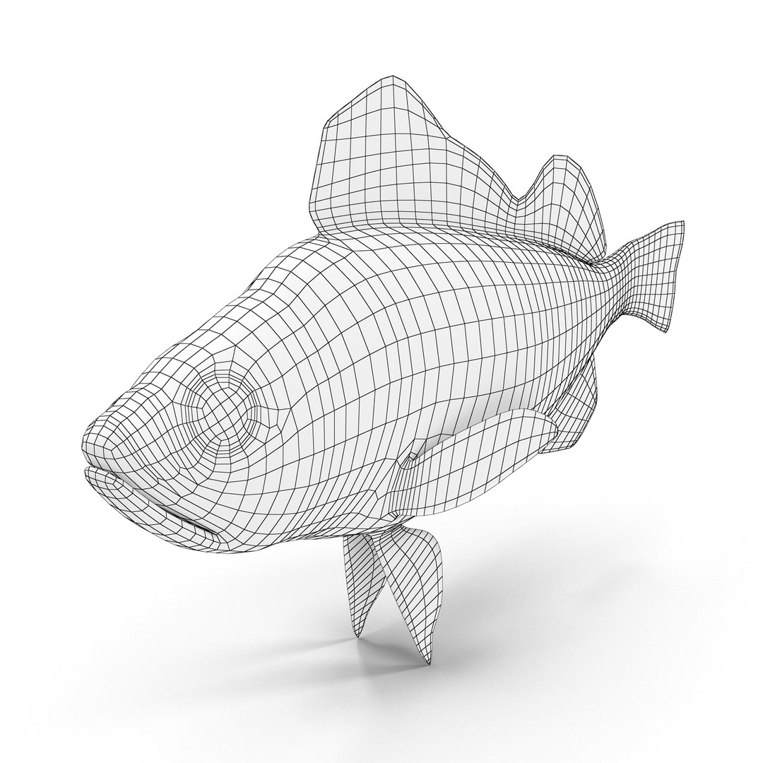 3d Model Rockfish Rock Fish