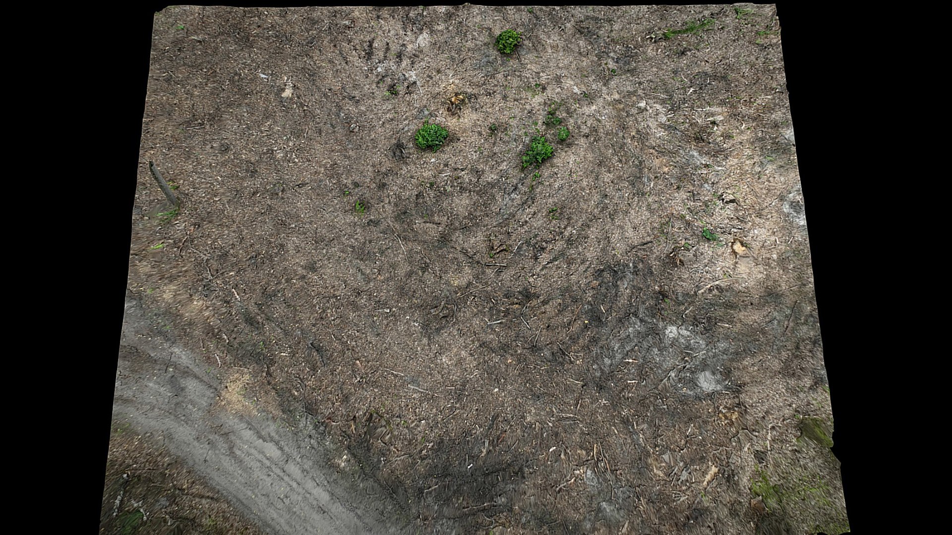 Forest Ground Cutted Trees Part3 Photogrammetry Model - TurboSquid 2275614