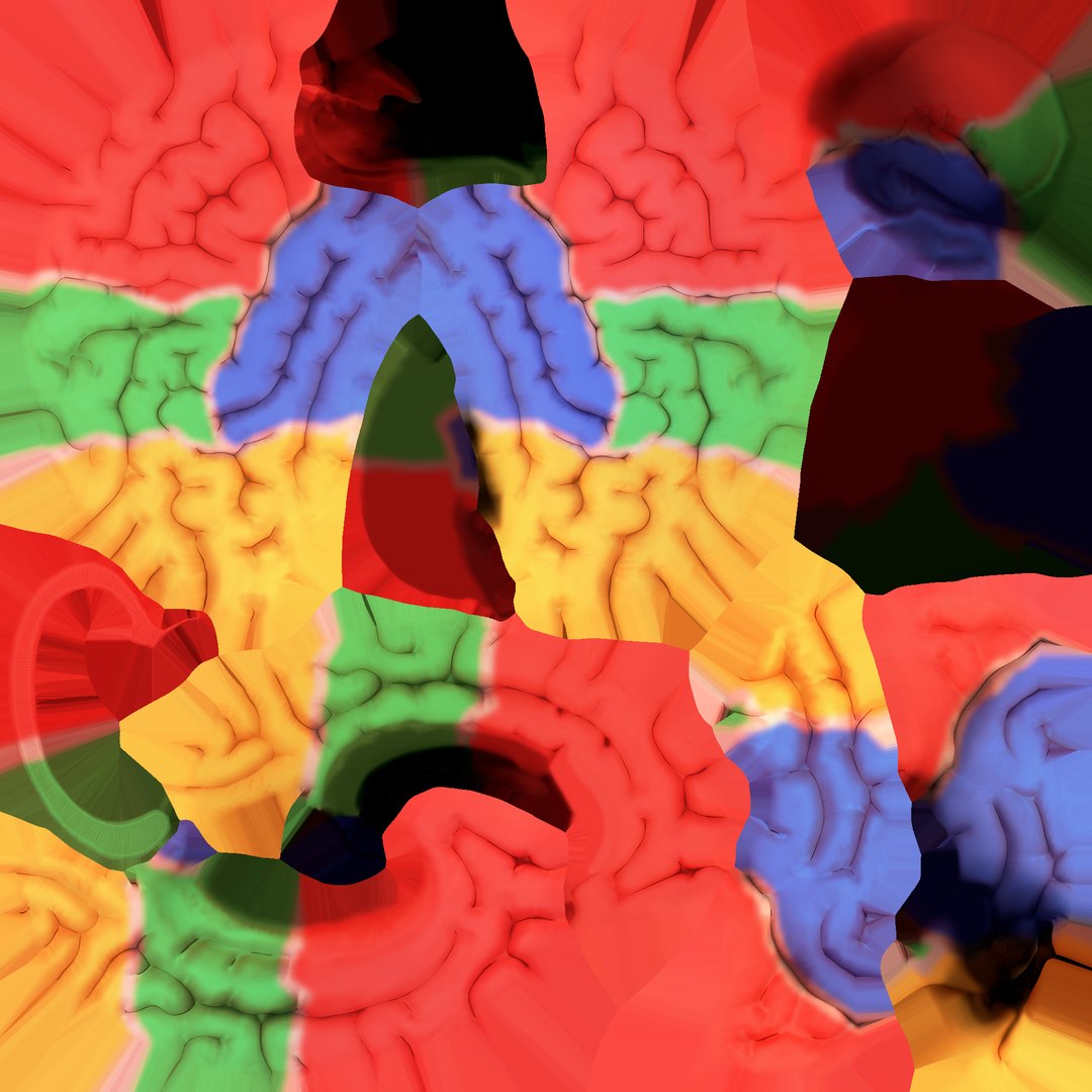 Human Brain Anatomy Ar 3D Model - TurboSquid 1355666