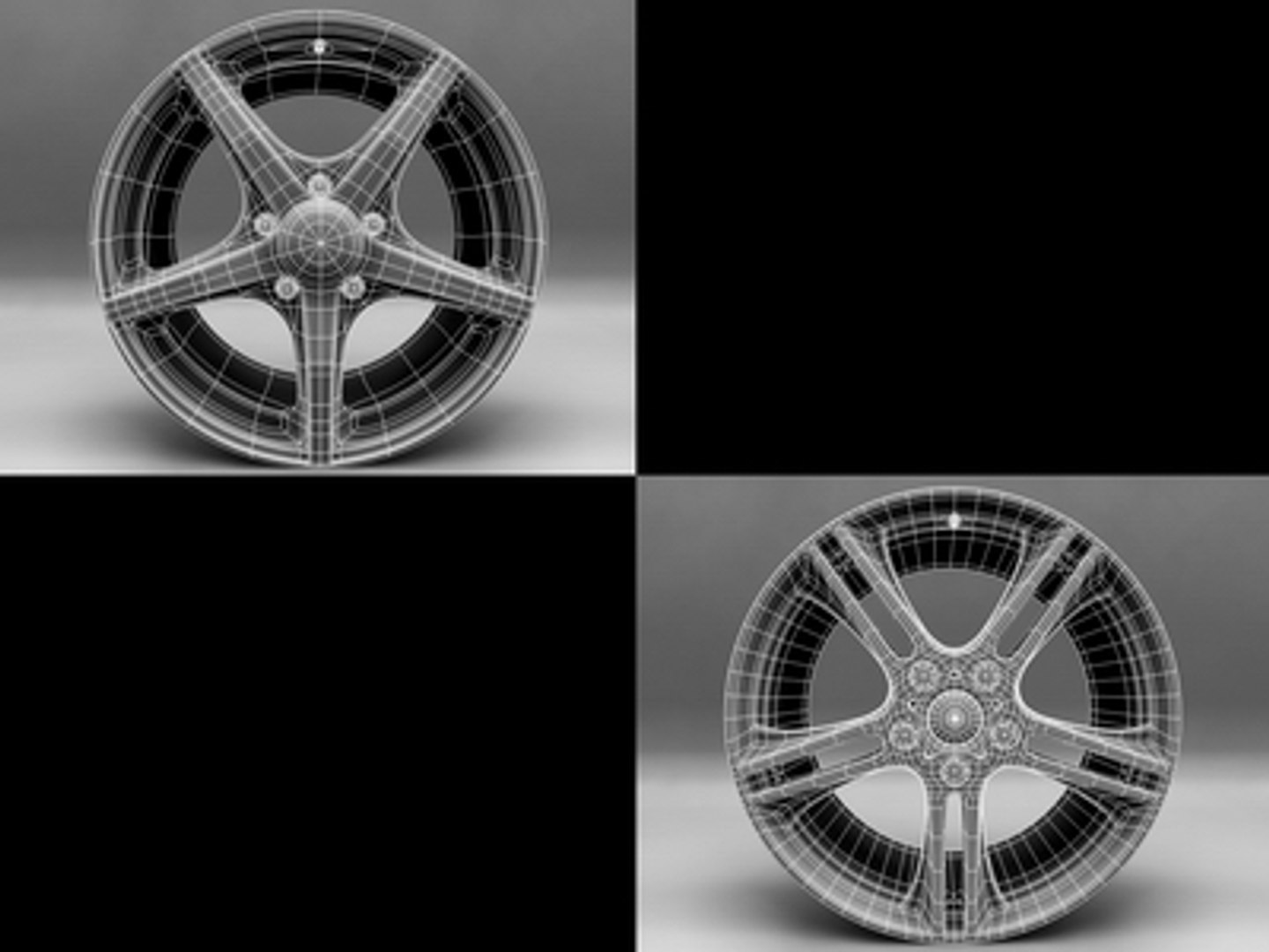 Rims Tires Wheel 3d Model