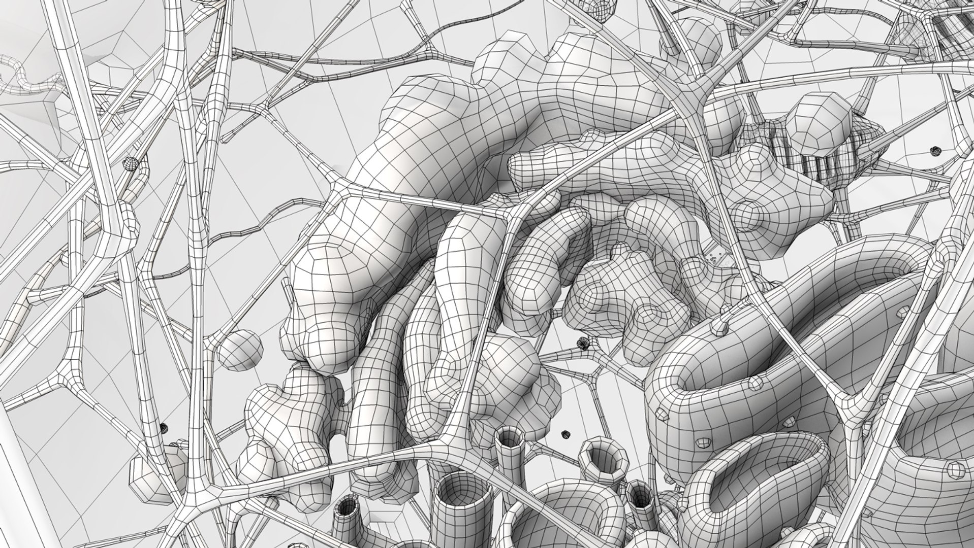 Human Cell Nucleus 3D Model - TurboSquid 1408314