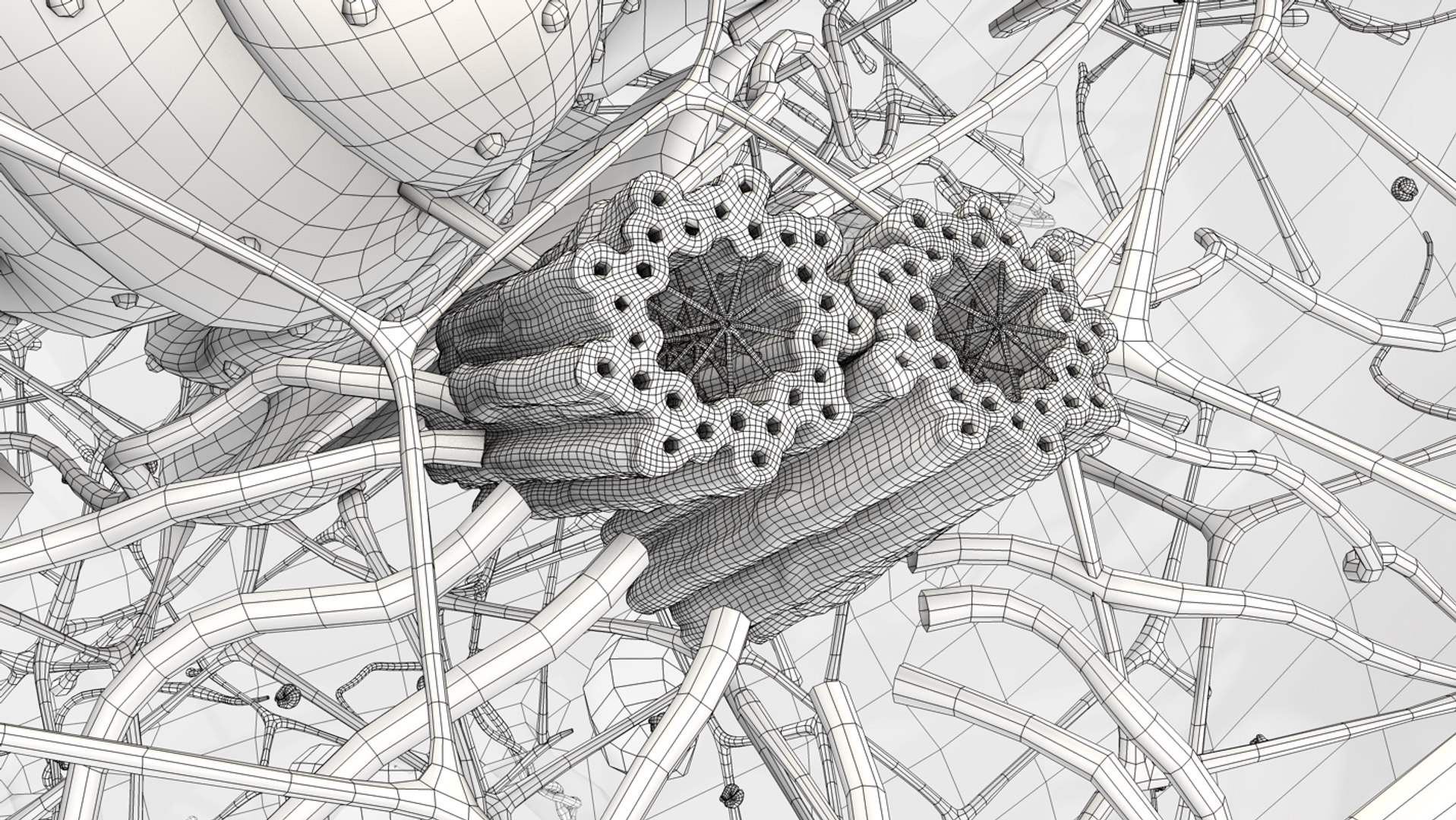 Human Cell Nucleus 3D Model - TurboSquid 1408314
