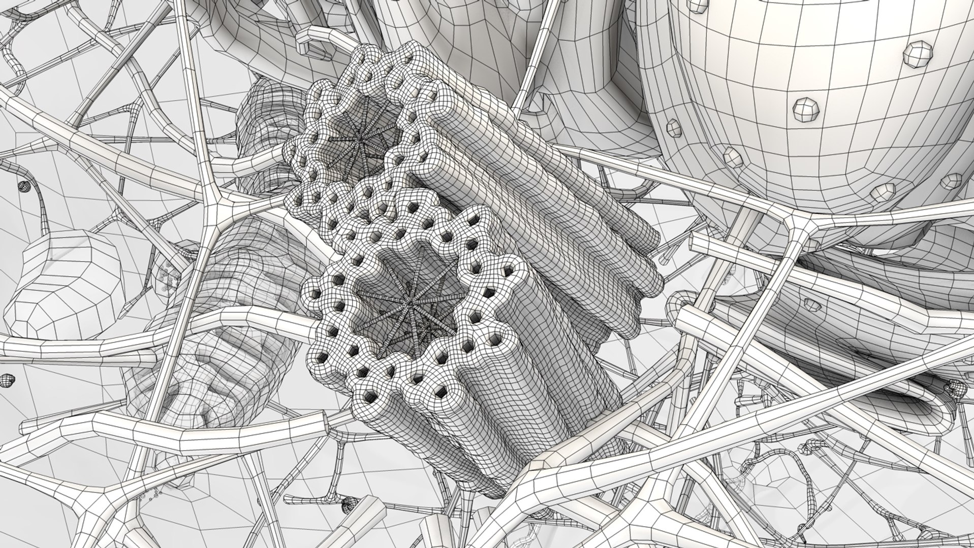 Human Cell Nucleus 3D Model - TurboSquid 1408314