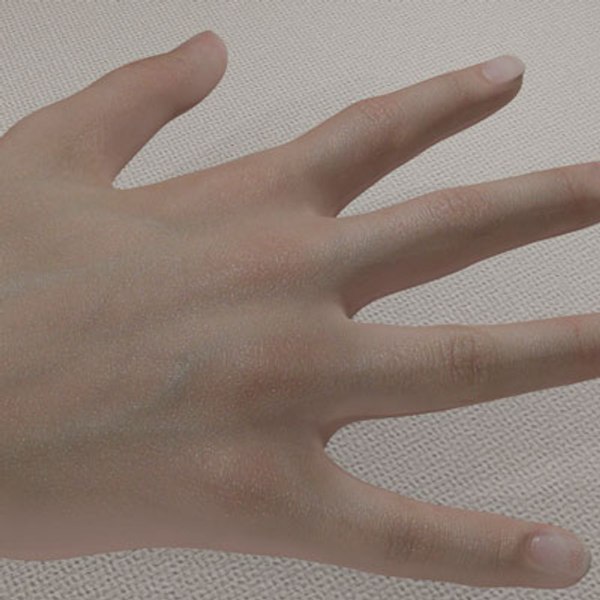 female realistic hand obj