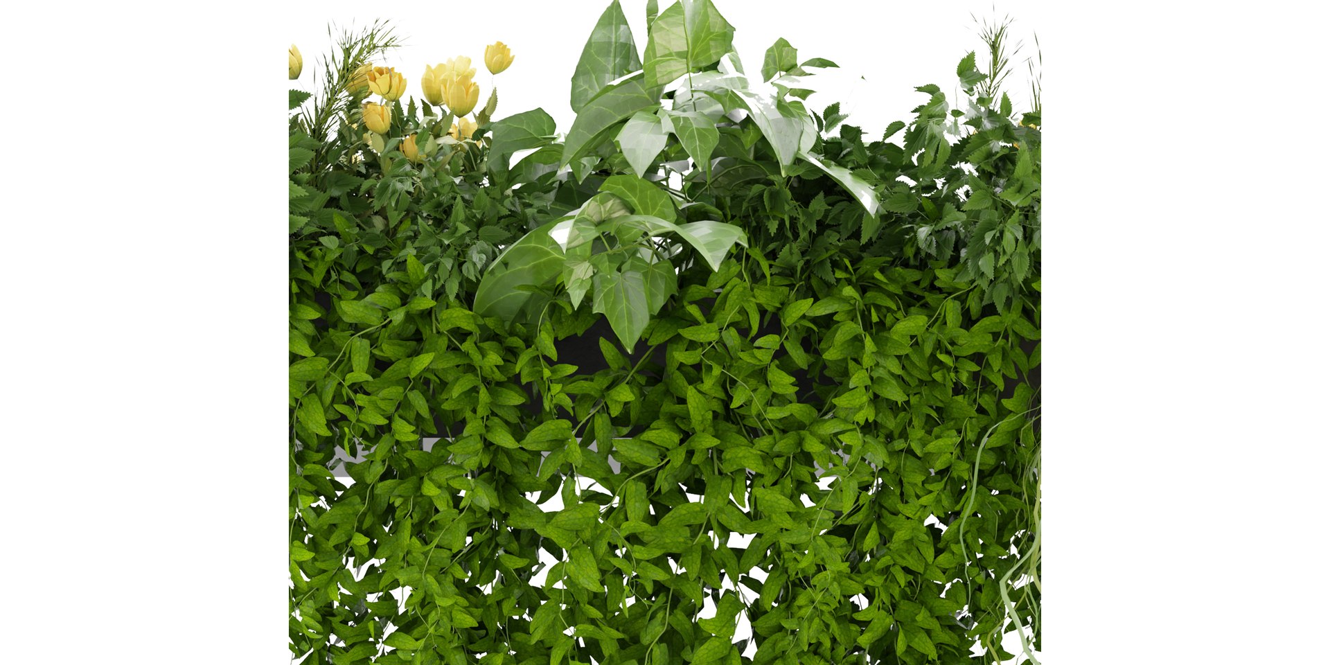 Collection plant vol 252 - blender model 3D model - TurboSquid 2088268