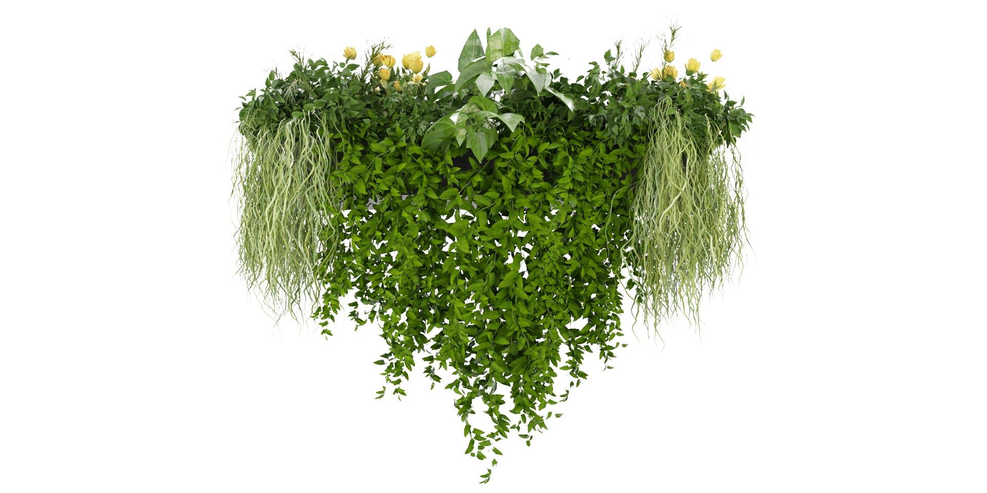 Collection plant vol 252 - blender model 3D model - TurboSquid 2088268