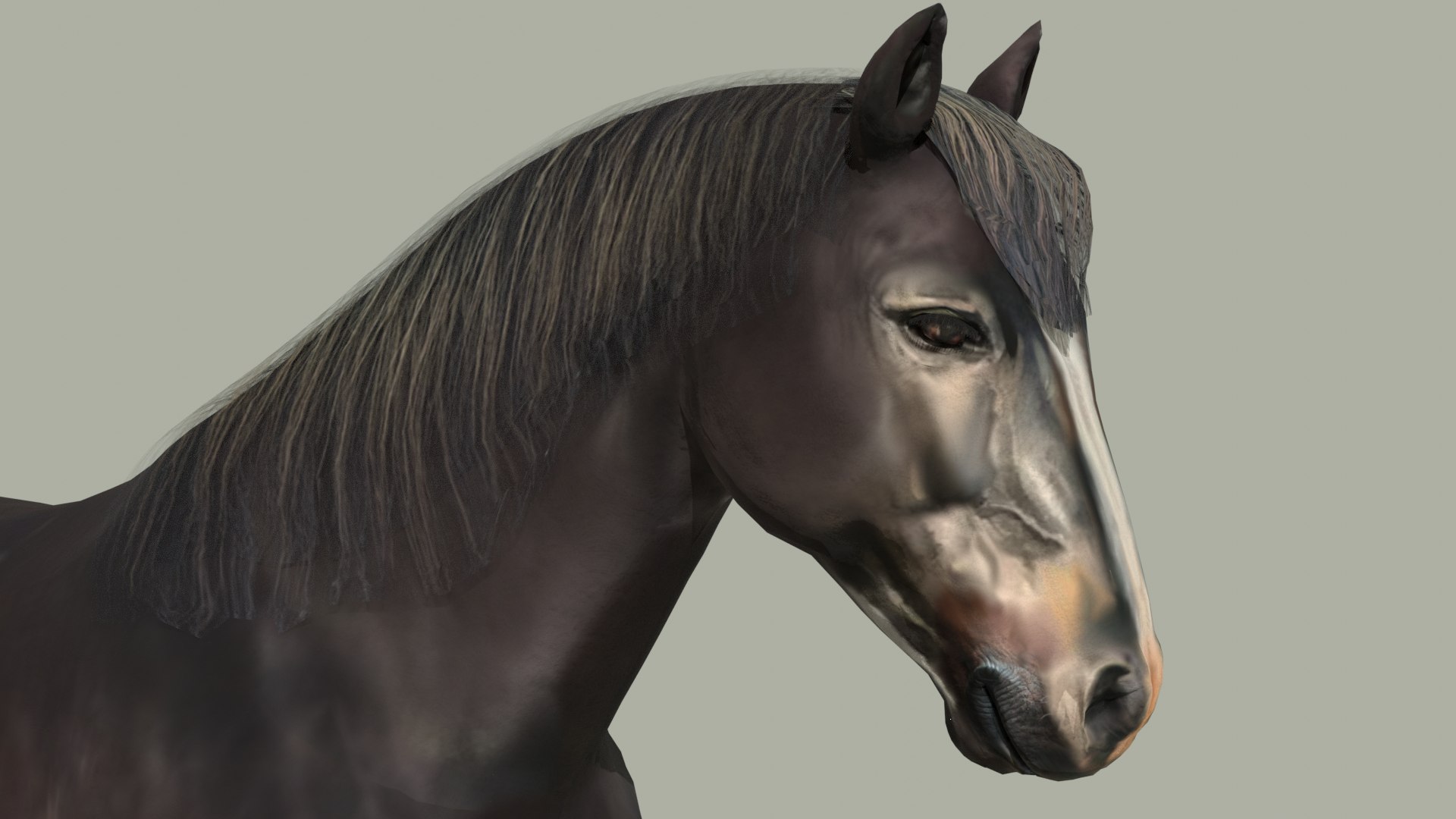 Animated Black Horse 3D Model - TurboSquid 2379960