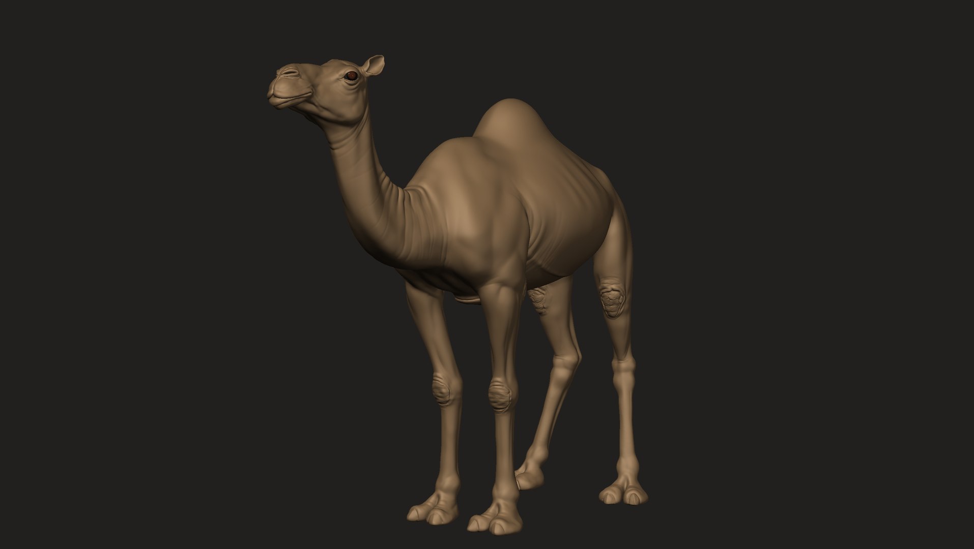 3D Camel Model - TurboSquid 2180683