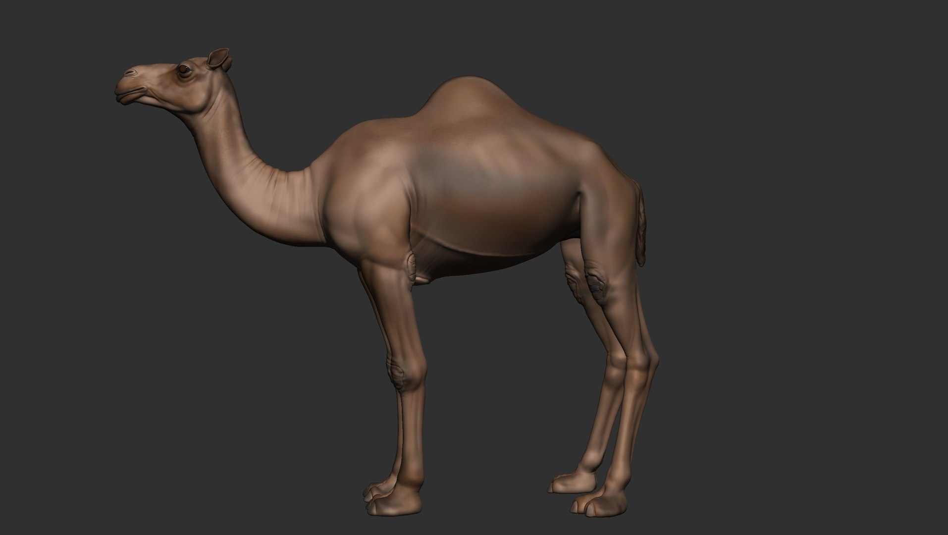 3D Camel Model - TurboSquid 2180683