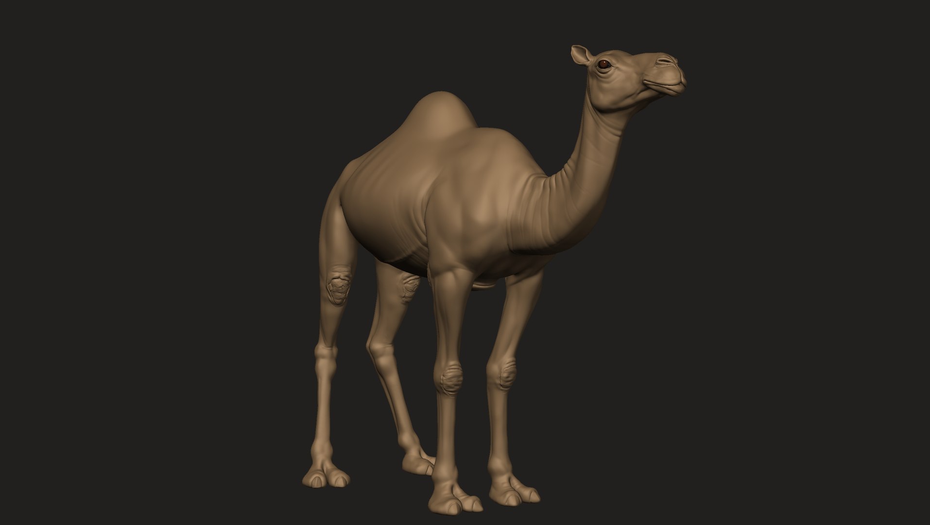 3D Camel Model - TurboSquid 2180683