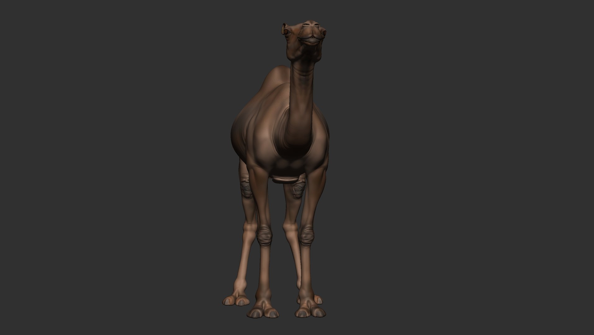 3D Camel Model - TurboSquid 2180683