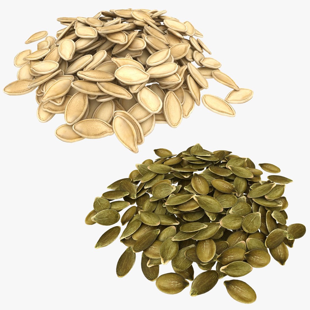 Pumpkin Seeds Pile Collection 3D Model - TurboSquid 2108663