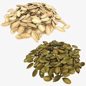 Download Free & Premium Pumpkin Seed 3d 3D Models | TurboSquid