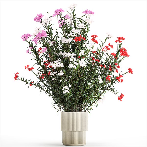 3D Oleander Models | TurboSquid