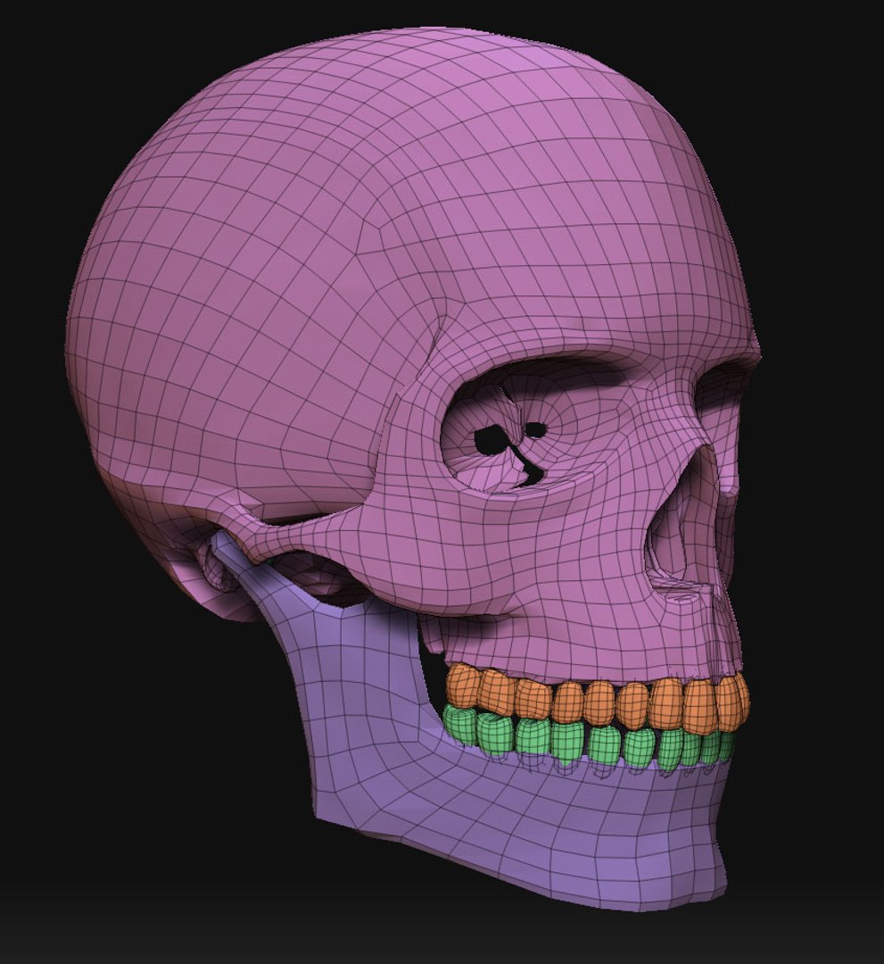 Maya Human Skull Polygons
