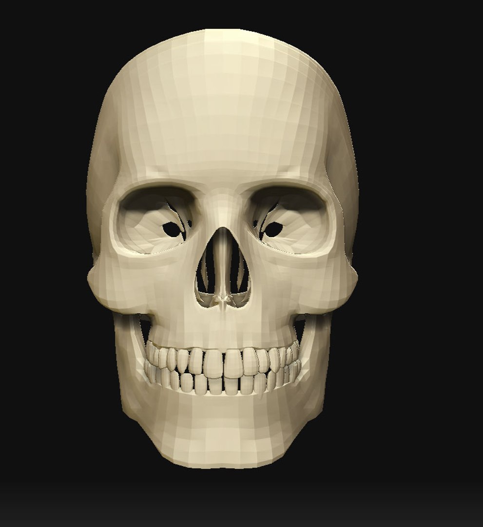 Maya Human Skull Polygons