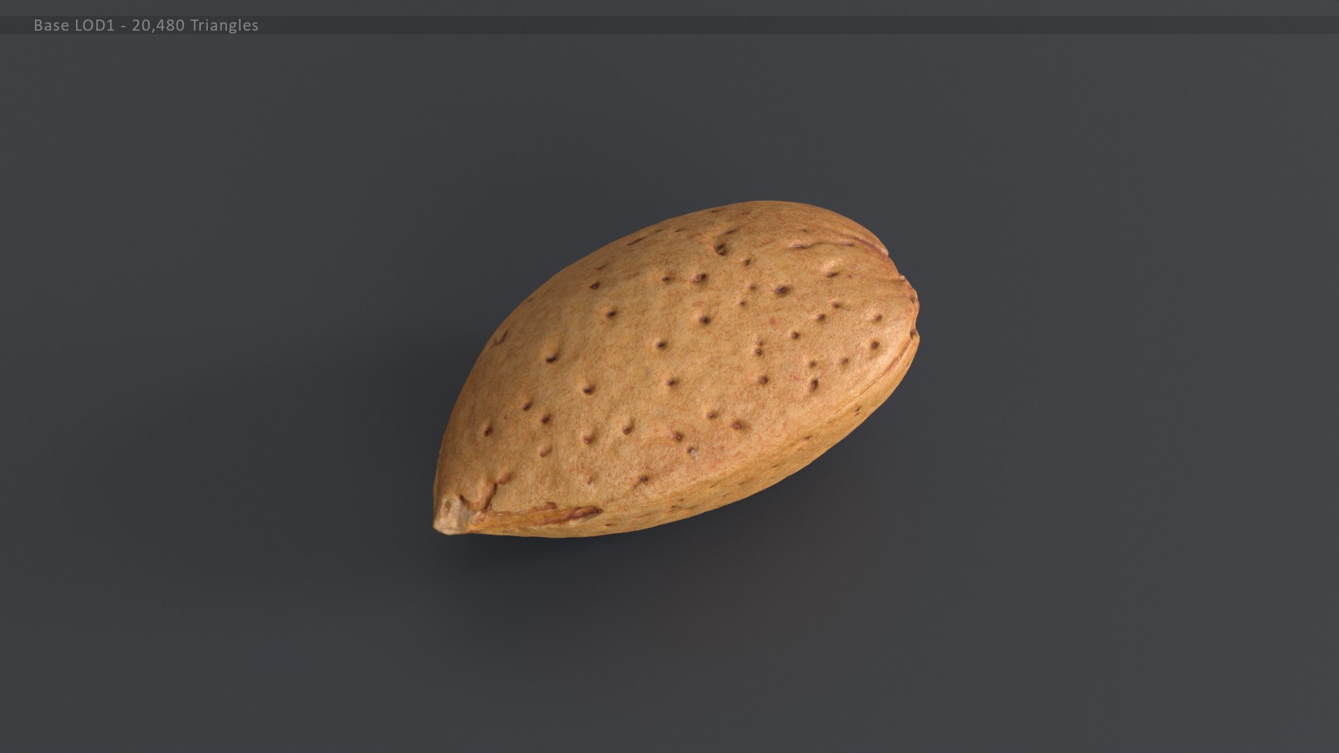 3D Almonds Unshelled - TurboSquid 1993127