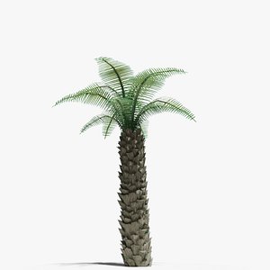 Tree Native Blender Models for Download | TurboSquid