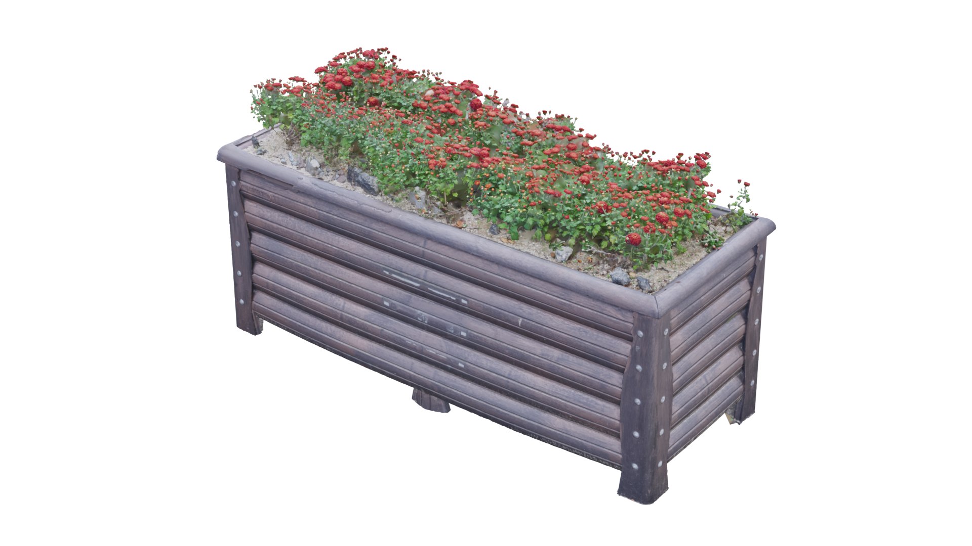 Red Flower 3D - TurboSquid 1853208