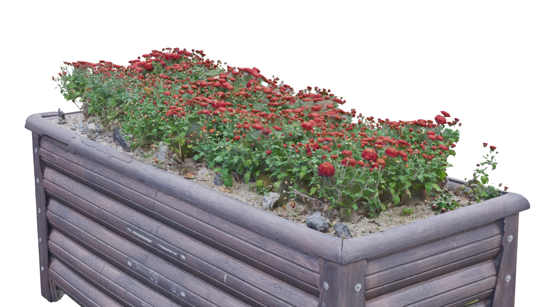 Red Flower 3D - TurboSquid 1853208