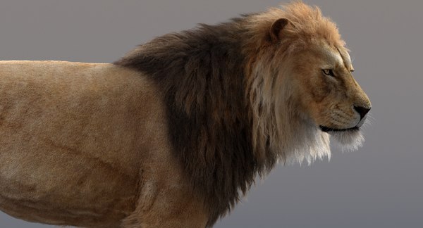 modelo 3d León animado - TurboSquid 1415056