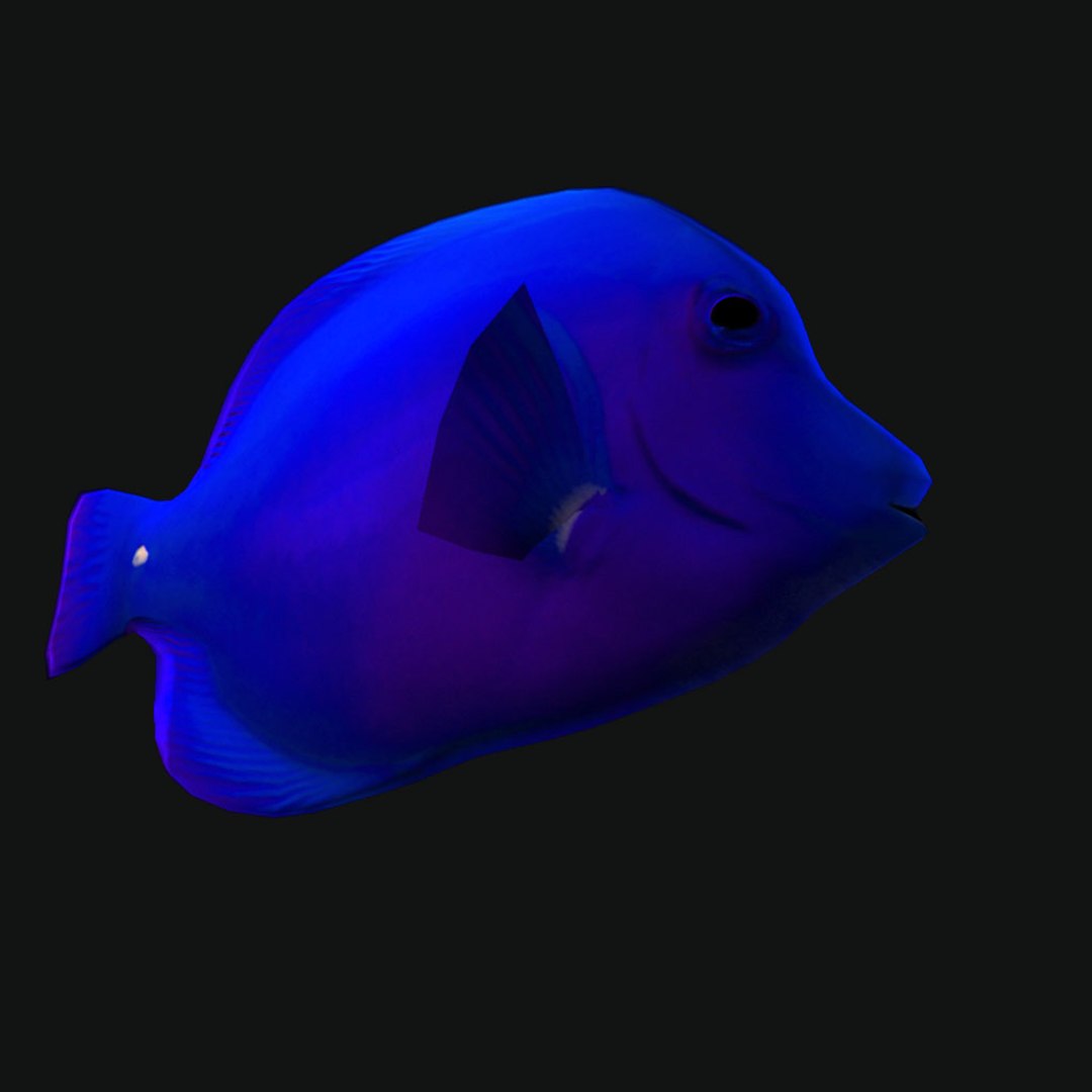 3D Cheek Butterfly Fish - TurboSquid 1244900