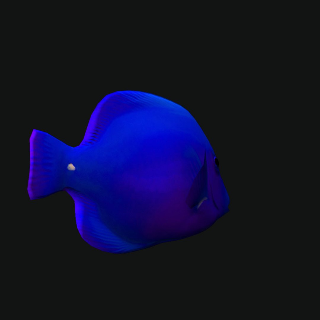 3D Cheek Butterfly Fish - TurboSquid 1244900