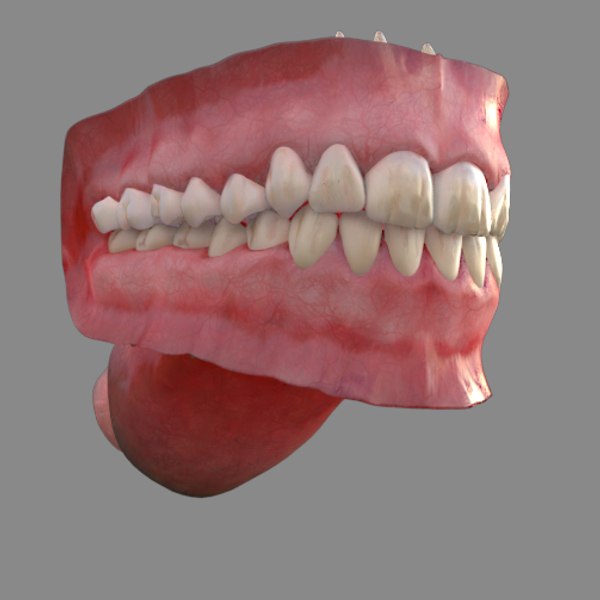 Mouth Blender Models for Download | TurboSquid