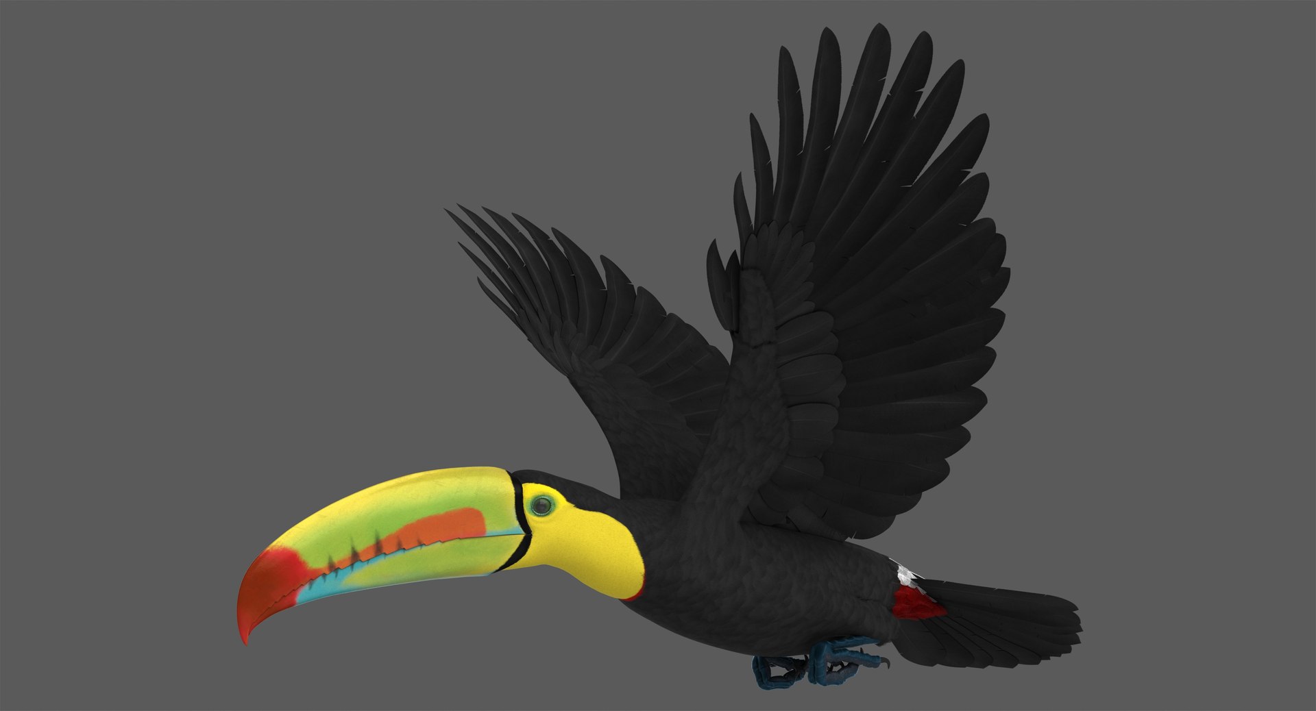 Keel-billed toucan animation 3D model - TurboSquid 1309171