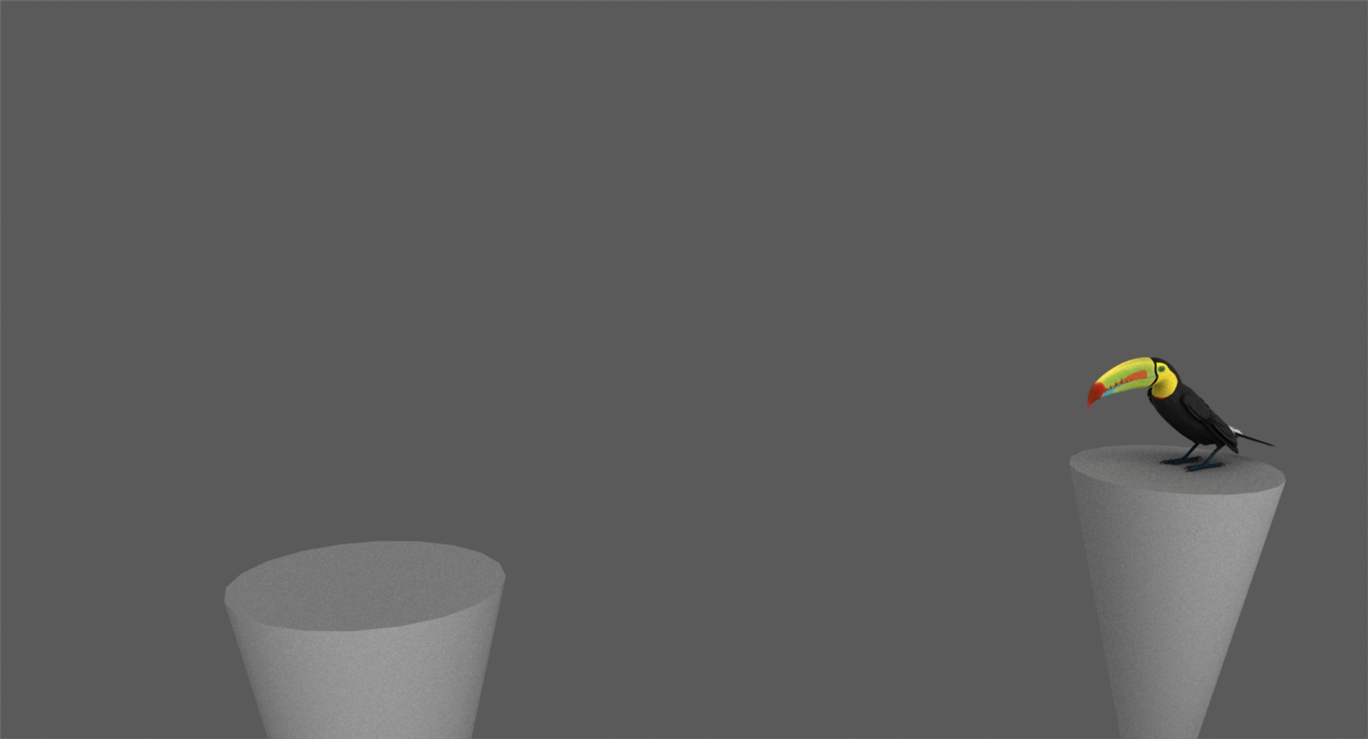 Keel-billed Toucan Animation 3D Model - TurboSquid 1309171