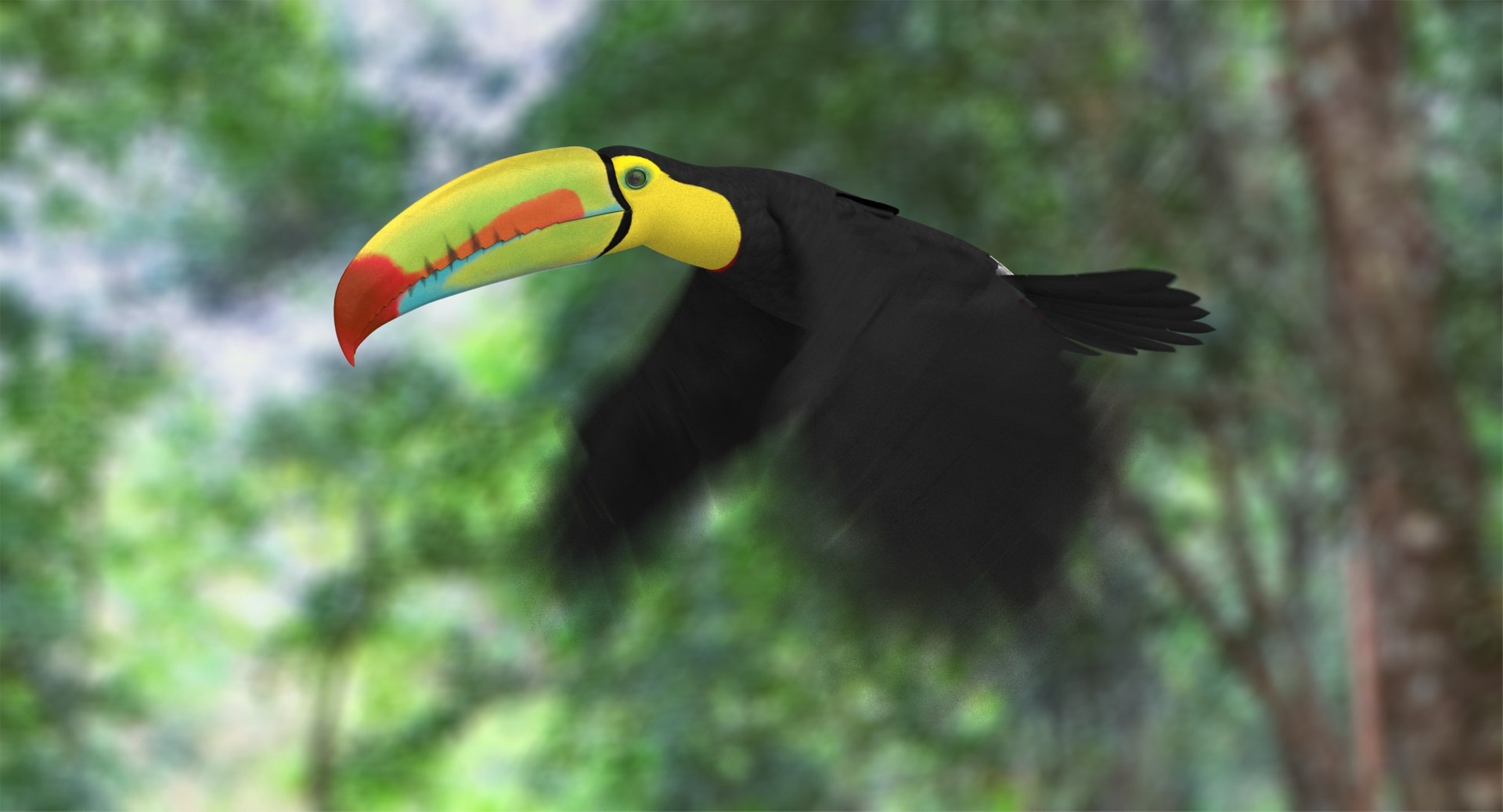 Keel-billed toucan animation 3D model - TurboSquid 1309171