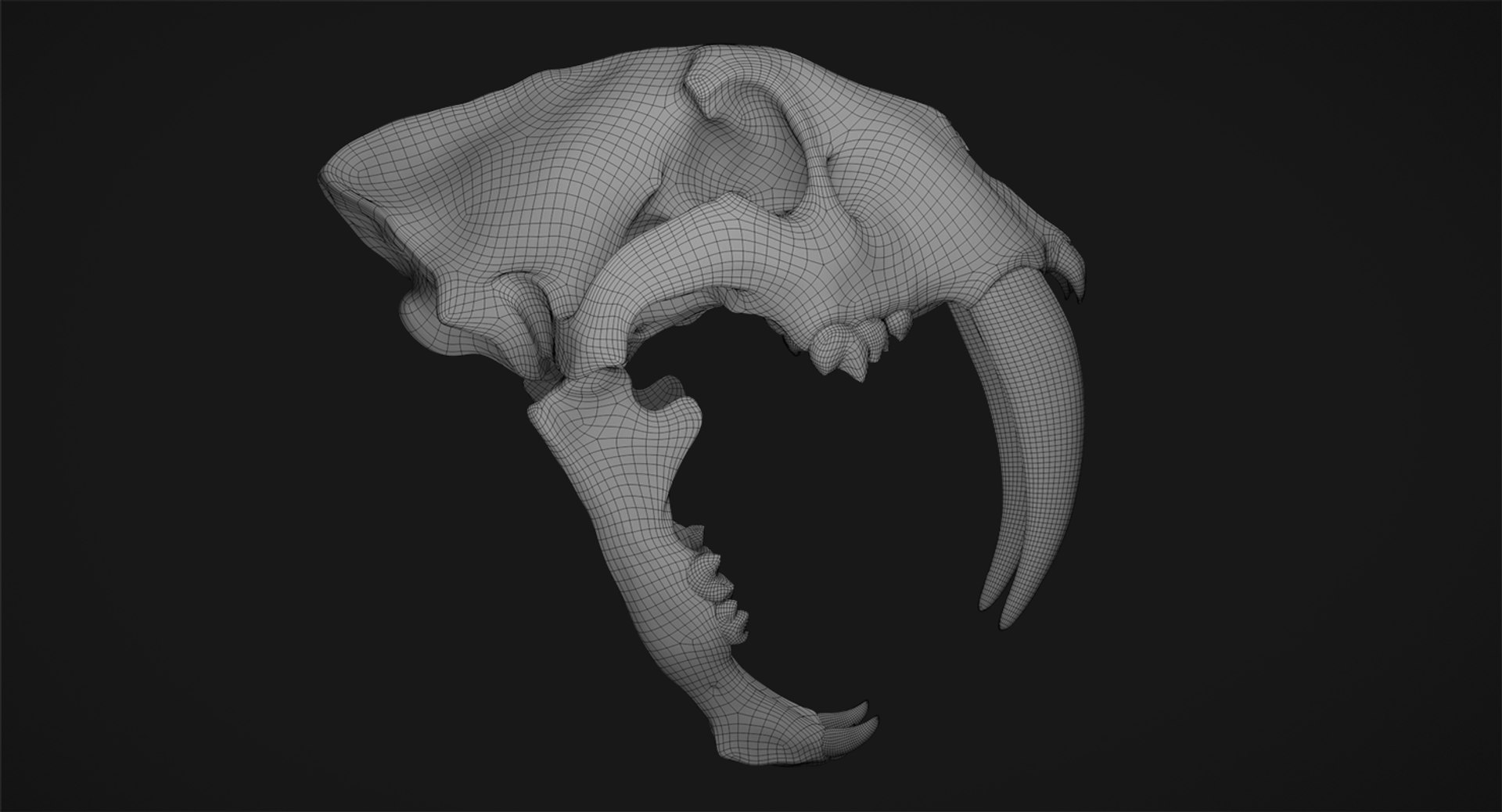 Saber-toothed Cat Model - TurboSquid 1377914