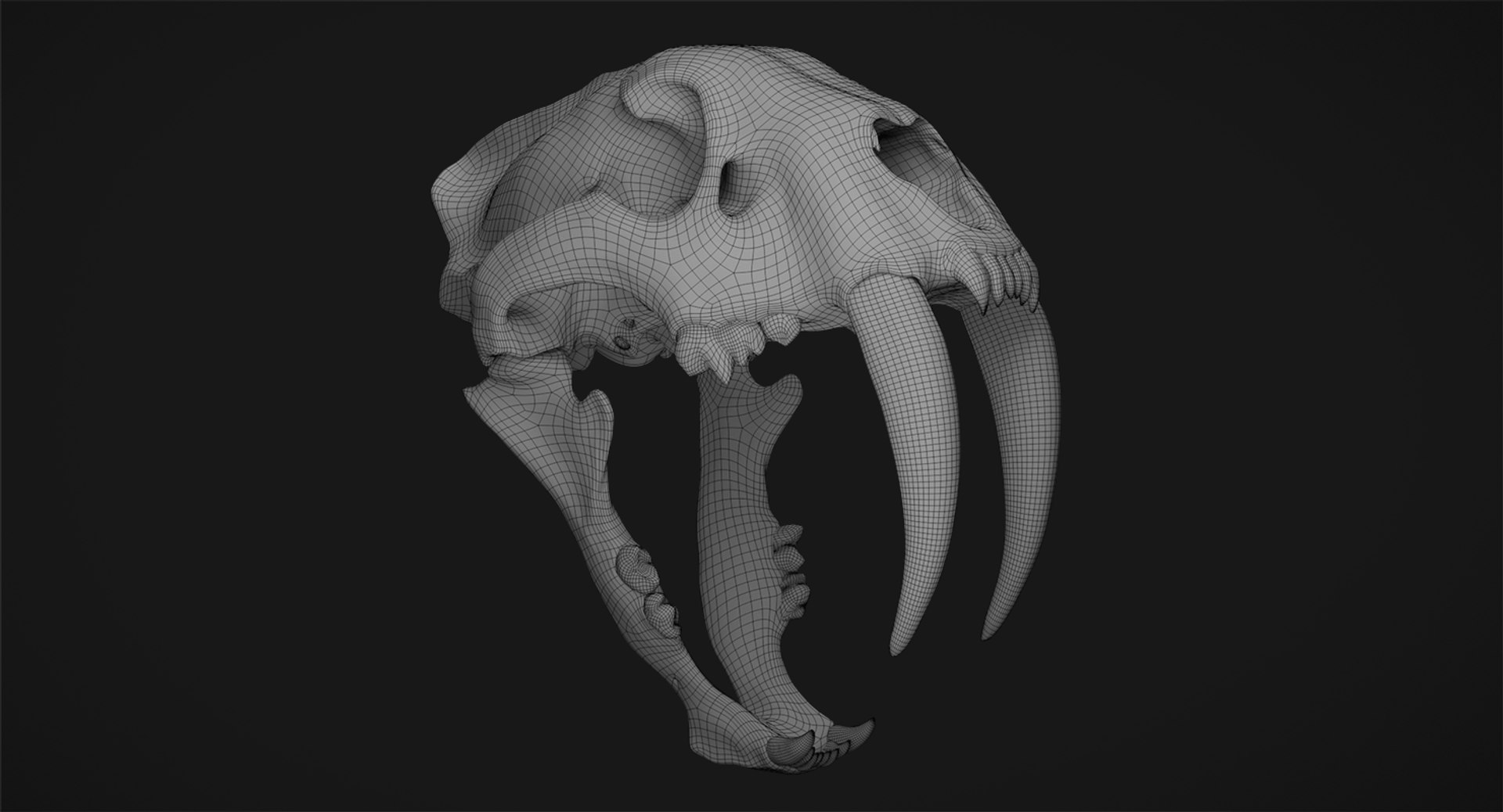 Saber-toothed Cat Model - TurboSquid 1377914