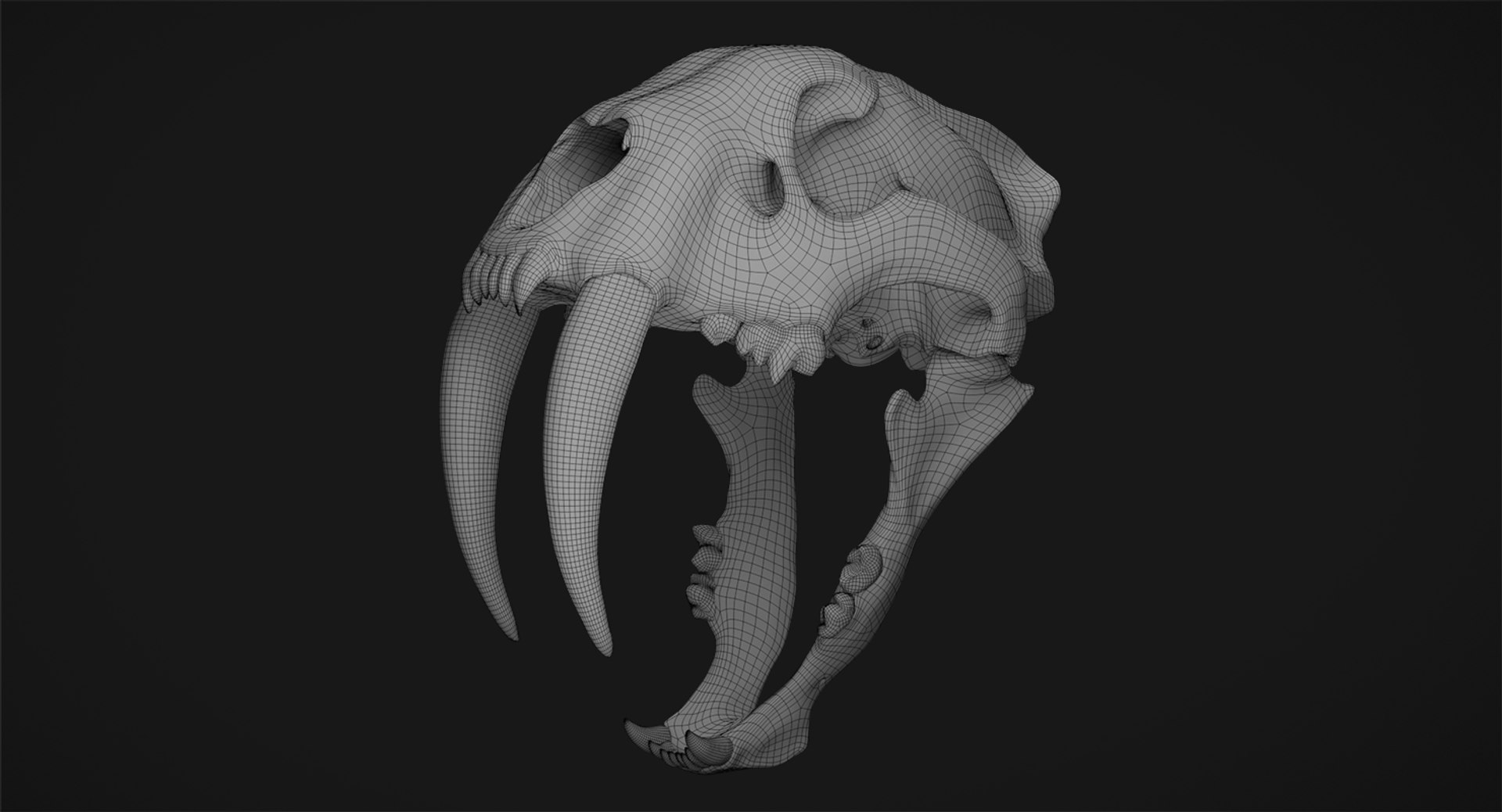 Saber-toothed Cat Model - TurboSquid 1377914