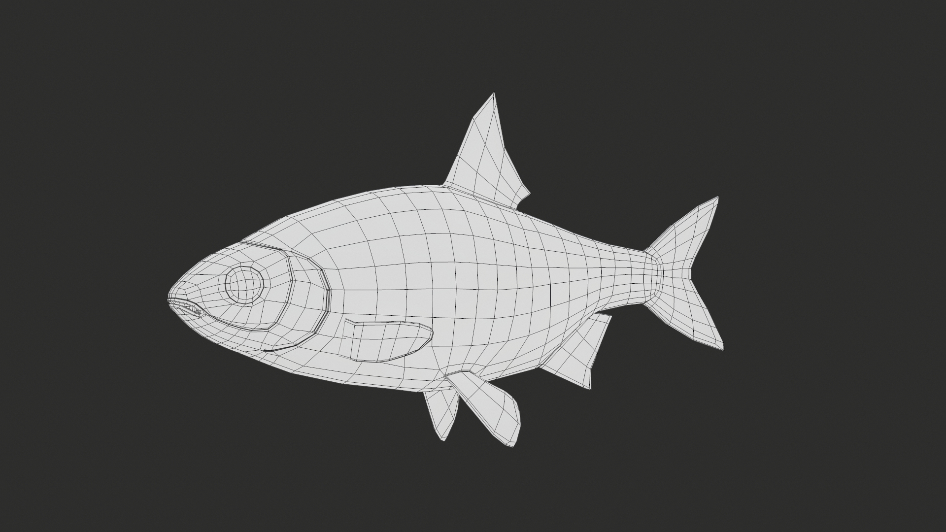 3D model Fish Rudd PBR - TurboSquid 2088327