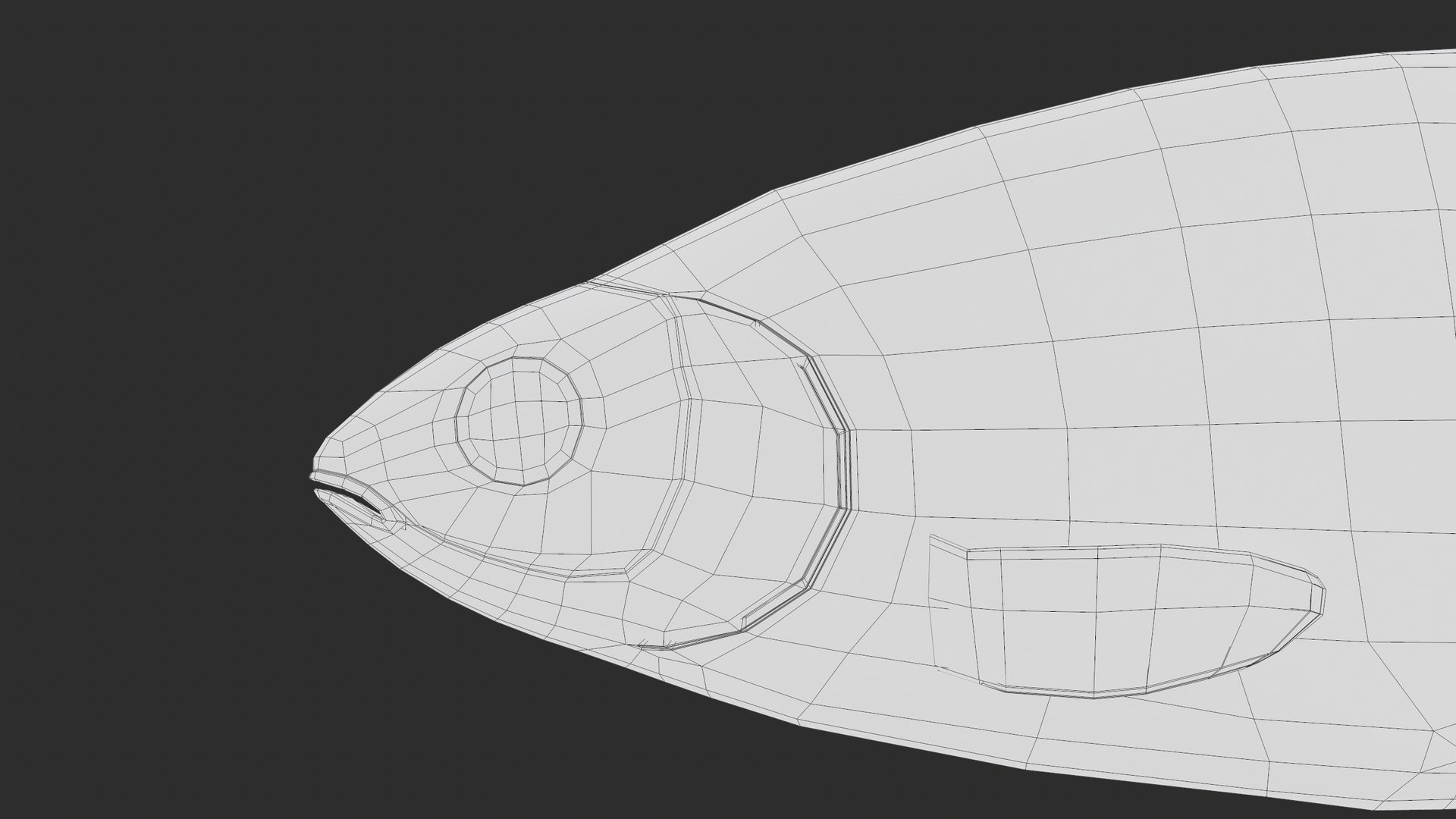 3D Model Fish Rudd PBR - TurboSquid 2088327