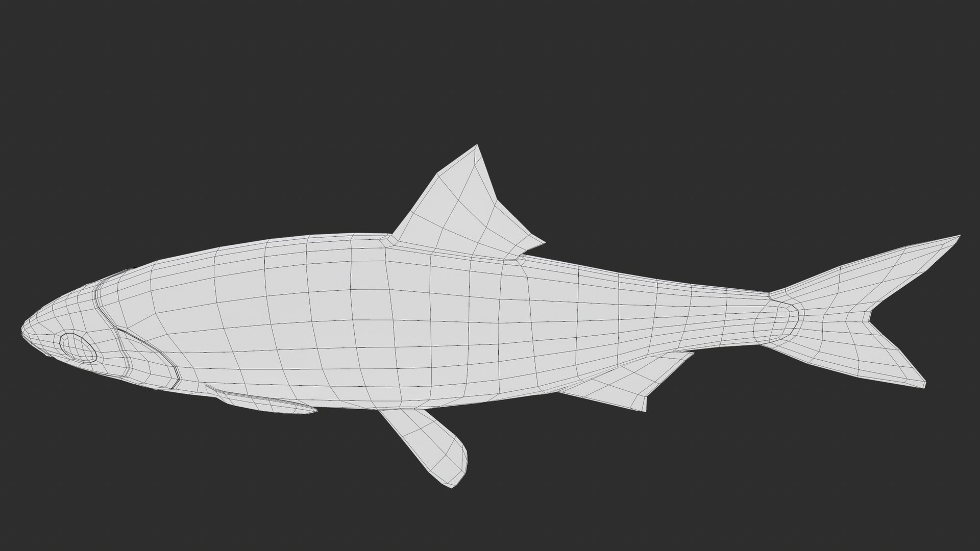 3D Model Fish Rudd PBR - TurboSquid 2088327